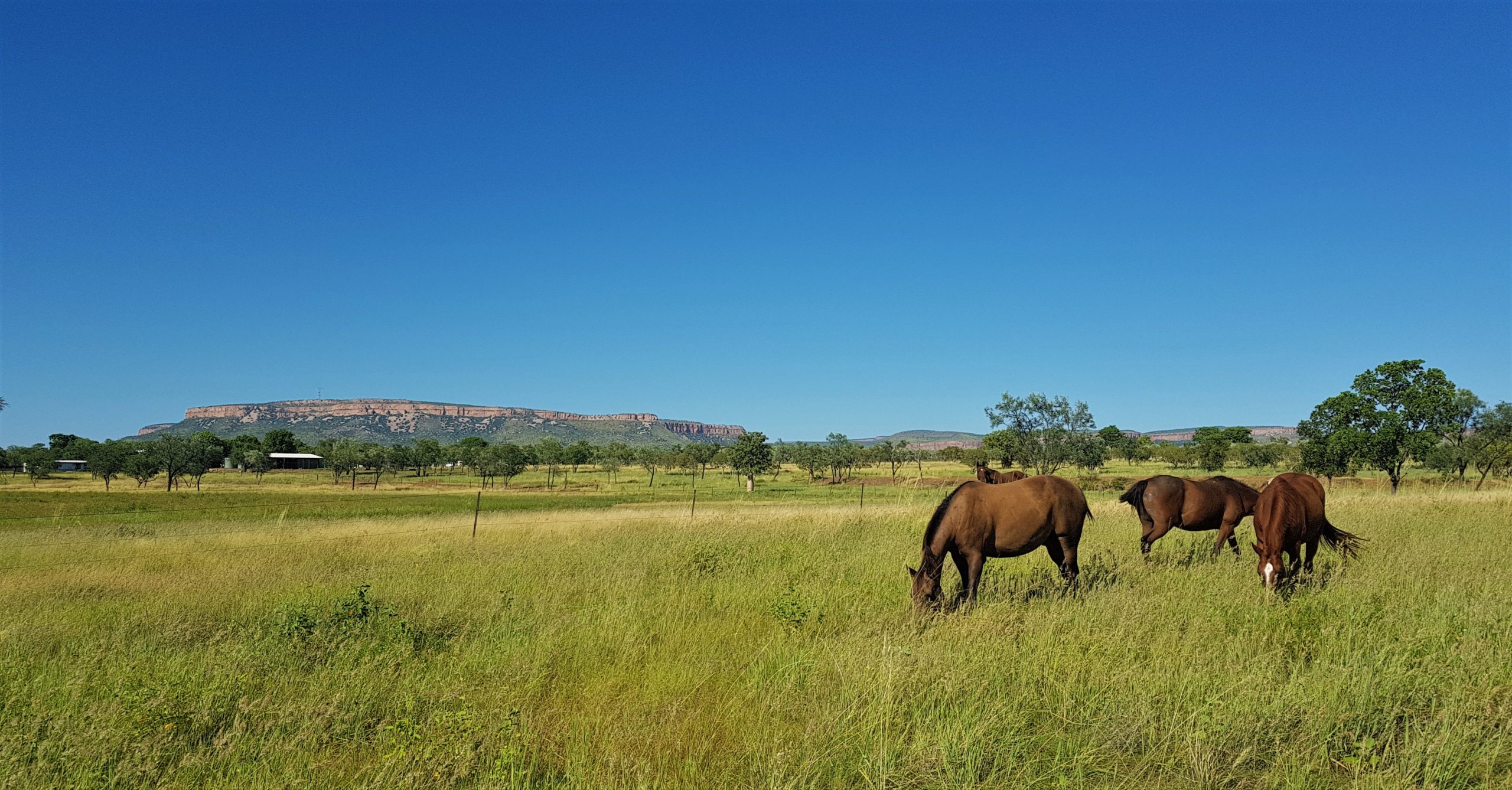 Opening on April 18 for the 2019 season! - Diggers Rest Station