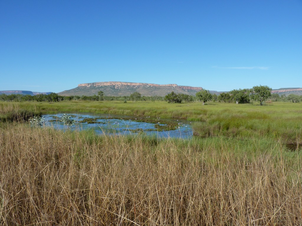 May 27-28 Overnight Horse Riding at Diggers Rest Station - Diggers Rest ...