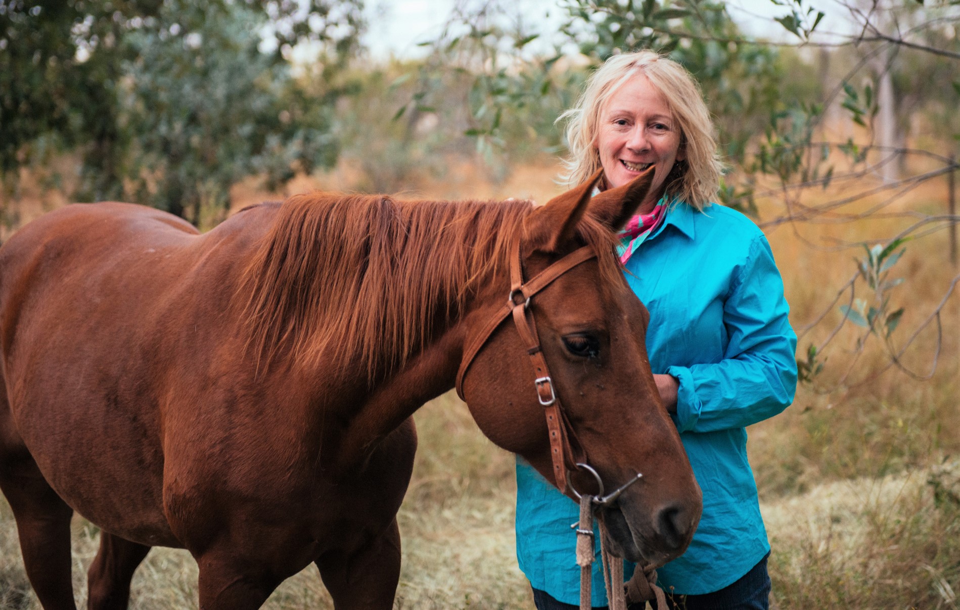 Diggers Rest Horses|Pearl - Diggers Rest Station