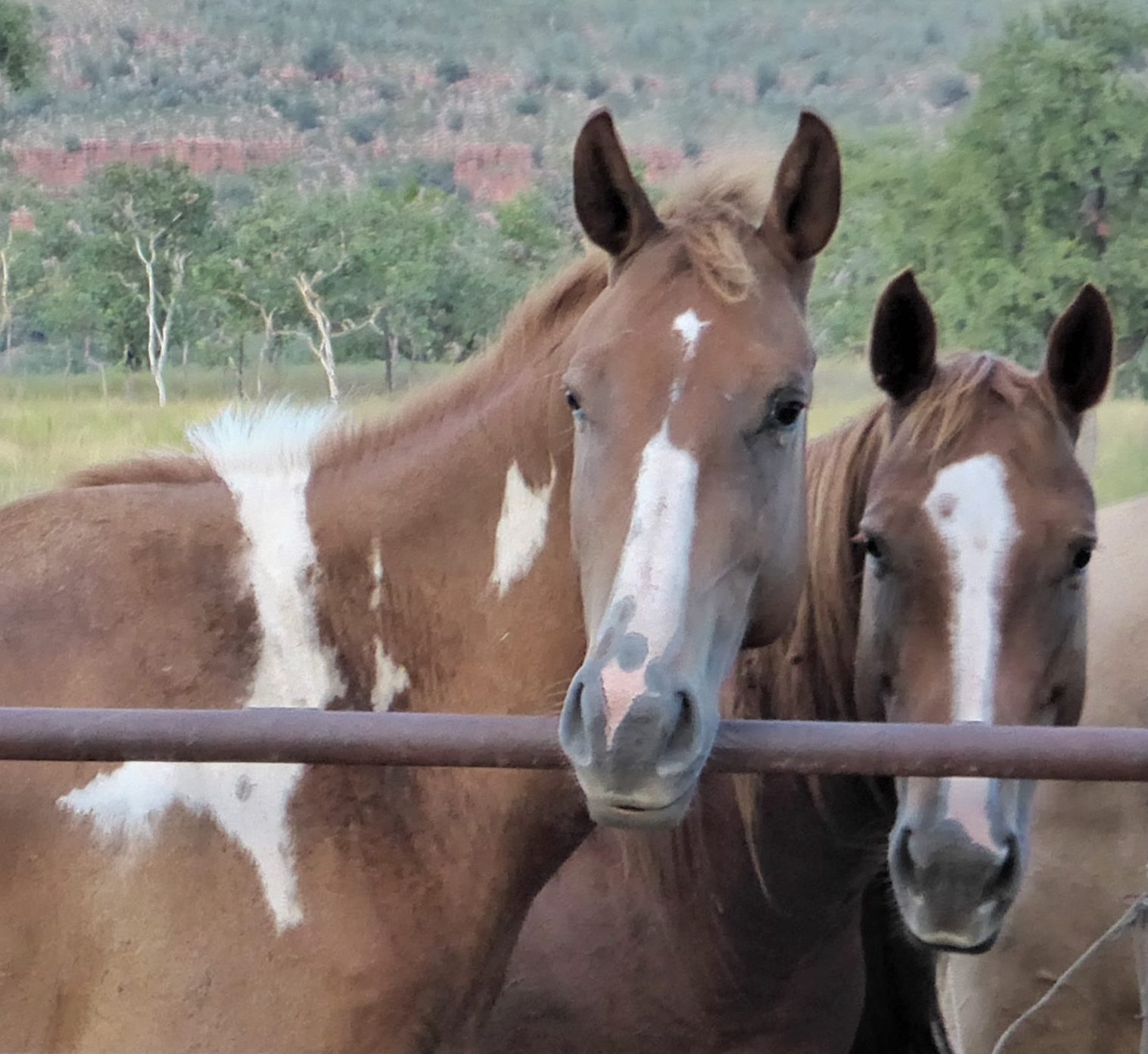 Remembering Rio - Diggers Rest Station